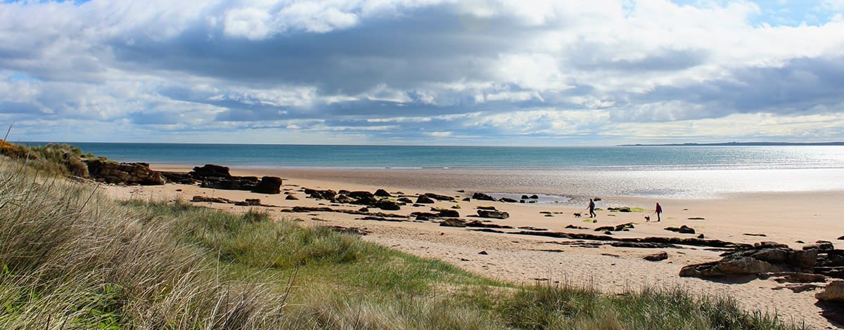 Places to visit in Dornoch